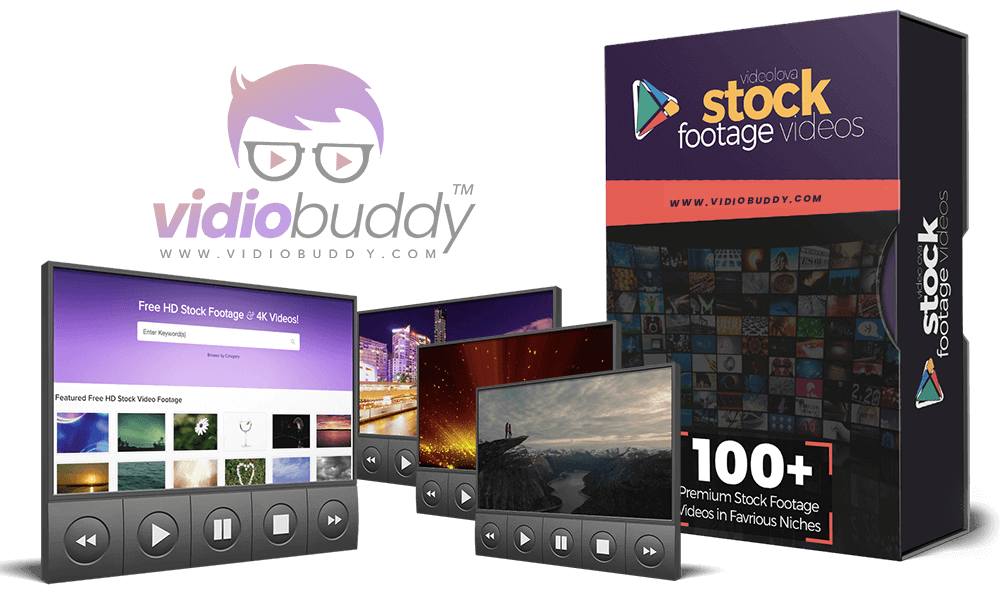 VidioBuddy™ review