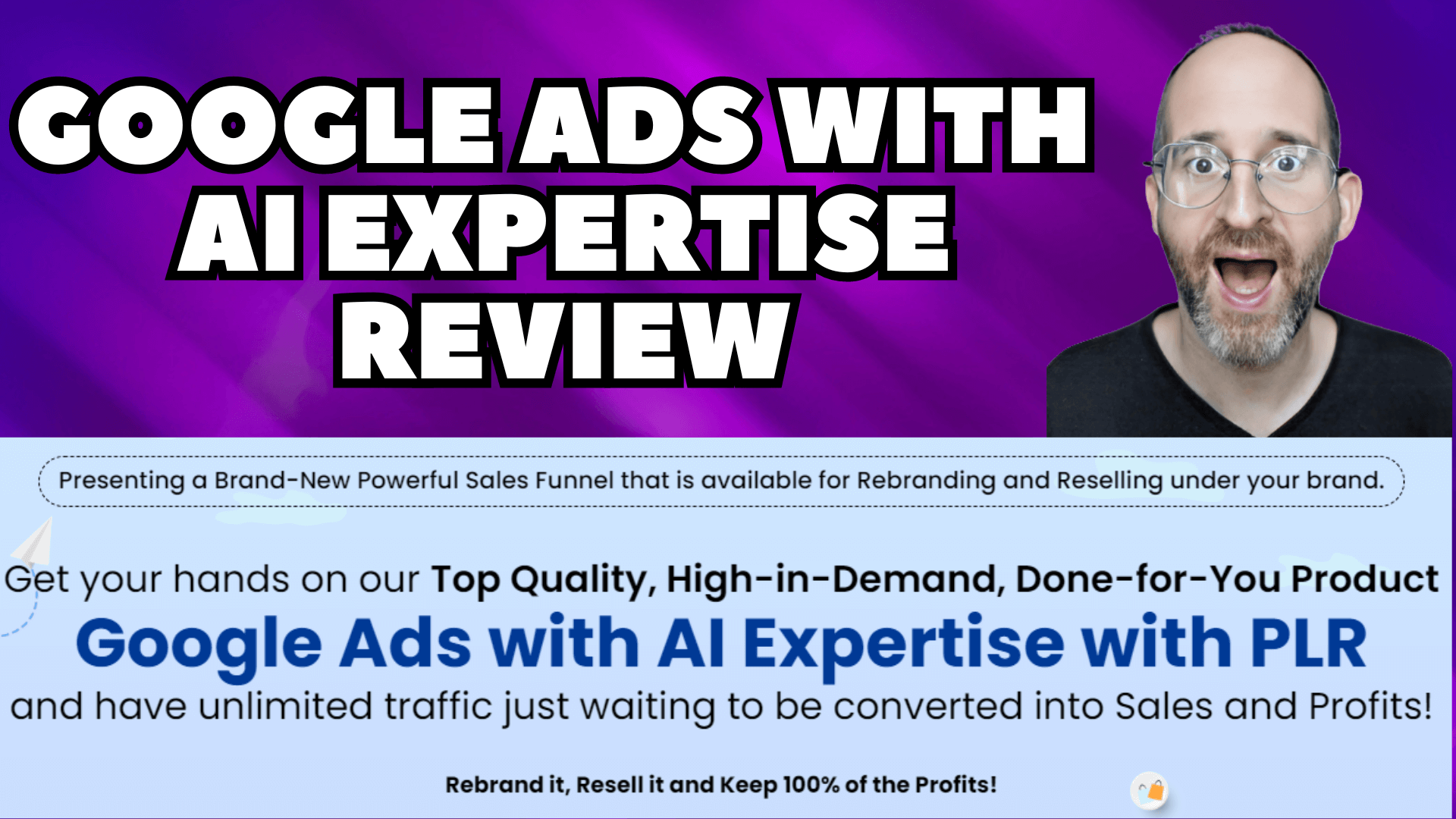 Google Ads with Ai Expertise Review